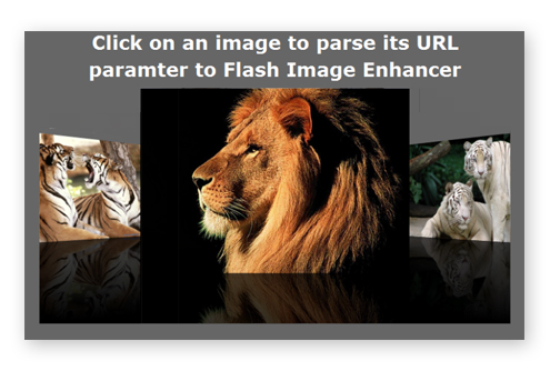 Load a Dynamic Flash Image Enhanced Photo Based on a URL parameter - Premium Content - Articles ...